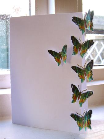 Butterfly Edge Card 1 - CUP703635_198 | Craftsuprint