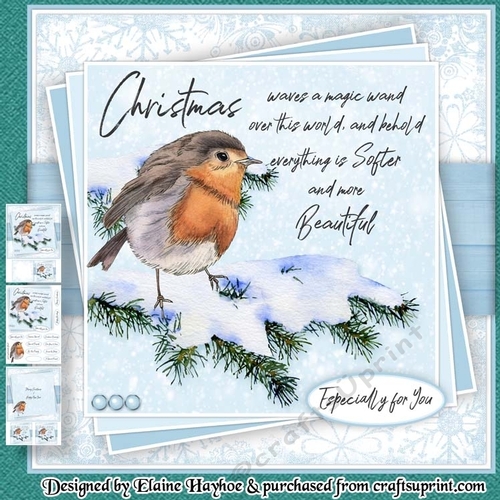 Simple Robin Mini Kit - CUP1171676_72307 | Craftsuprint