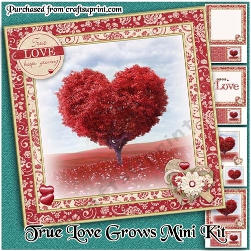 True Love Grows Mini Kit - CUP850081_72307 | Craftsuprint
