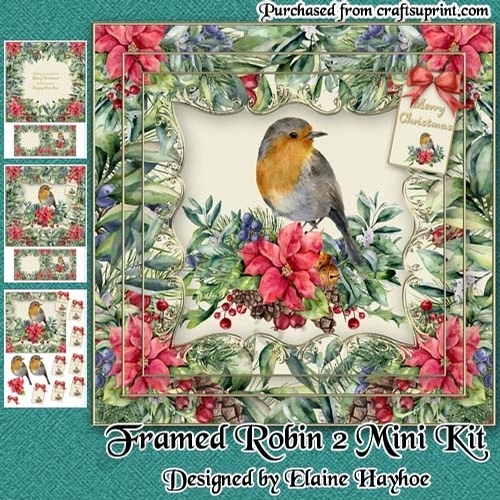 Framed Robin 2 Mini Kit - CUP919645_72307 | Craftsuprint
