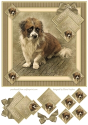 Sad Sam 8x8 Card Front Topper - Photo by Margarette Blakeborough