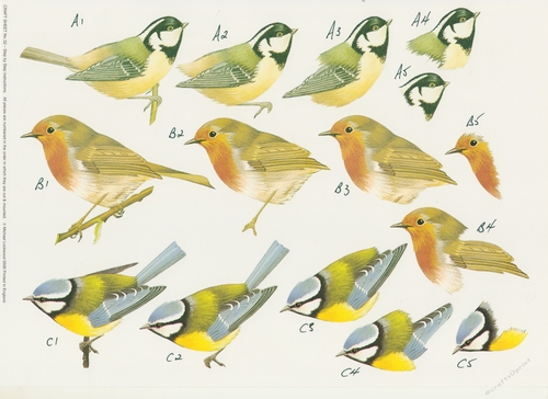 2 x 560CD - Garden Birds - A4 Step by Step Printed Craft Sheet - Not ...