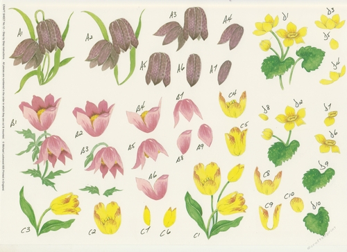 2 x 562CD - Crocuses - A4 Step by Step Craft Sheet - NOT DIE CUT ...