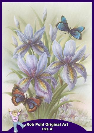 Rob Pohl Original Iris A - CUP339895_1519 | Craftsuprint