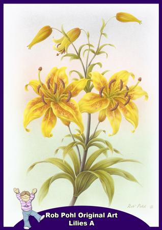 Rob Pohl Original Art Lilies A - CUP343496_1519 | Craftsuprint