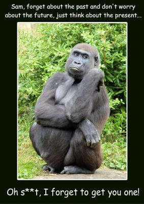 Card Creator - Forgetful Gorilla Humorous Card Front - CUP533280_1519