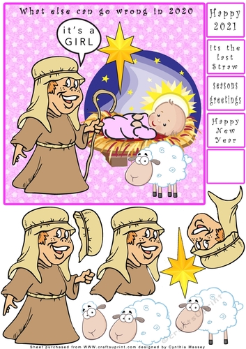 What Else Can Go Wrong In 2020 - Decoupage - CUP1088407_3367 | Craftsuprint