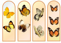 Bookmarks / Paper Craft