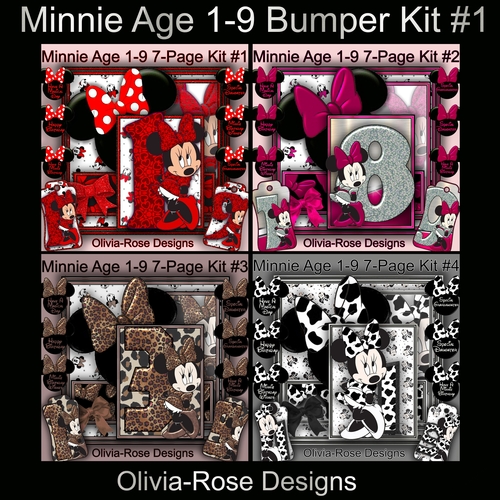 Minnie Mouse Bumper Kit #1 TOPPER JUST MINNIE NOW INCLUDED ...