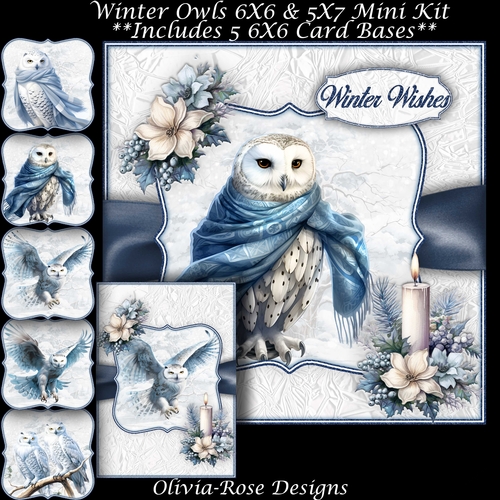 Winter Owls Mini Kit - CUP1260175_104105 | Craftsuprint