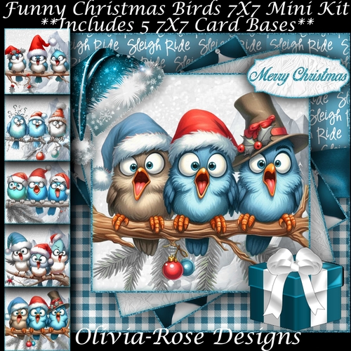 Funny Christmas Birds Mini Kit 7x7 - CUP1324893_104105 | Craftsuprint