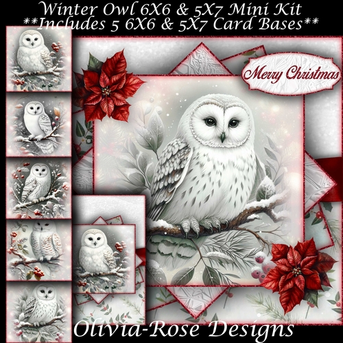 Winter Owl Mini Kit - CUP1344985_104105 | Craftsuprint