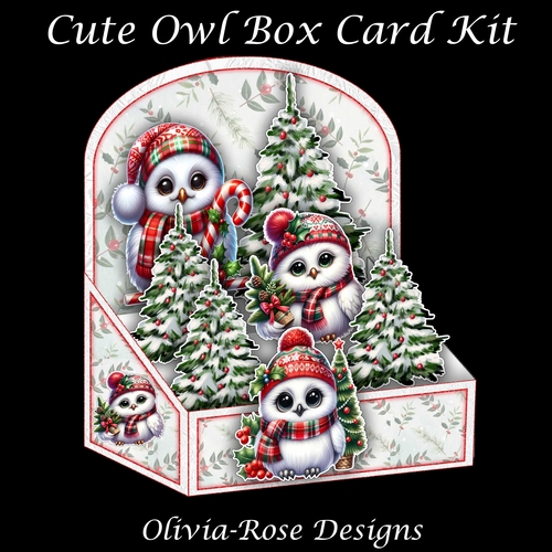 Cute Owls Box Card Mini Kit - CUP1353951_104105 | Craftsuprint