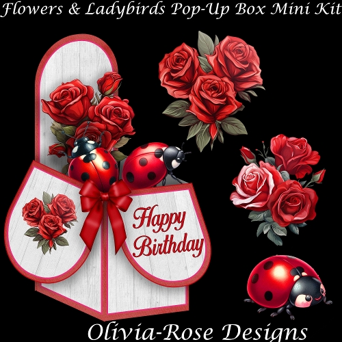 Flowers & Ladybirds Pop-Up Box Mini Kit - CUP1356422_104105 | Craftsuprint