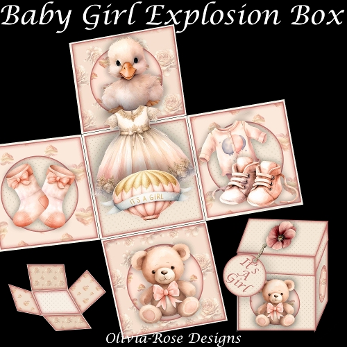 Baby Girl Explosion Box - CUP1375327_104105 | Craftsuprint