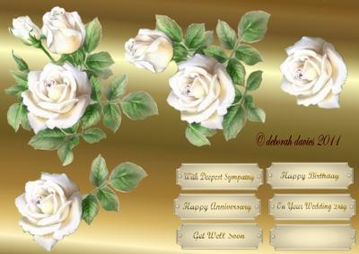 White Rose Step by Step - CUP175878_613 | Craftsuprint