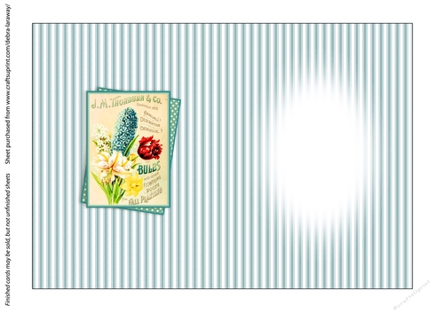seed packet 6 insert - CUP1027347_1571 | Craftsuprint