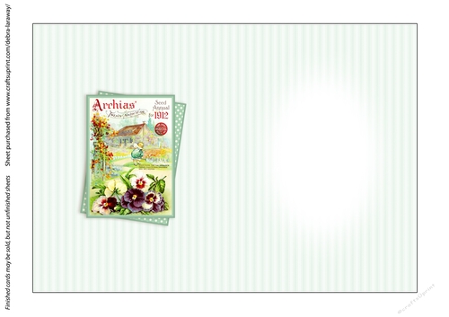 Seed packet 10 insert - CUP1027774_1571 | Craftsuprint