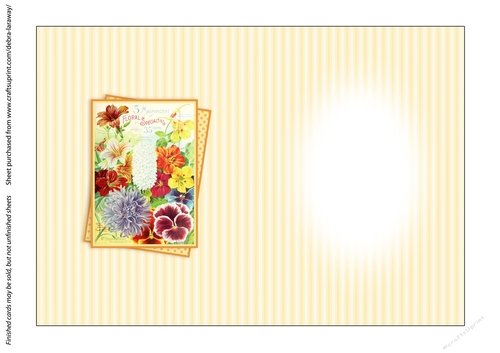 Seed packet 11 insert - CUP1027775_1571 | Craftsuprint