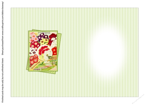 Seed packet 12 insert - CUP1027776_1571 | Craftsuprint