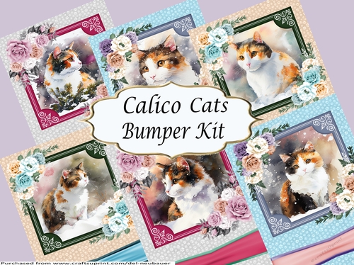 Calico Cats Bumper Kit - CUP1195496_44316 | Craftsuprint