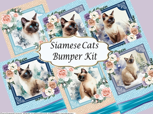 Siamese Cats Bumper Kit - CUP1195501_44316 | Craftsuprint