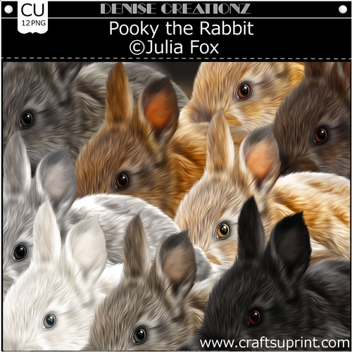 Pooky The Rabbit - CUP1151440_87944 | Craftsuprint