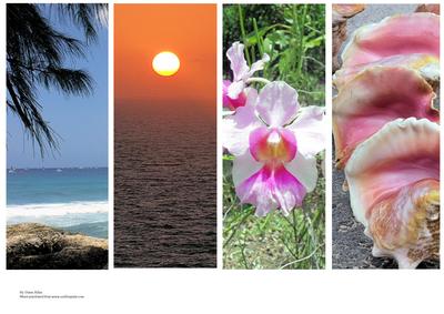 Tropical Image Bookmarks - CUP168401_14 | Craftsuprint