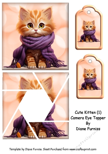 Cute Kitten (1) Camera Eye Topper - CUP1299102_174 | Craftsuprint