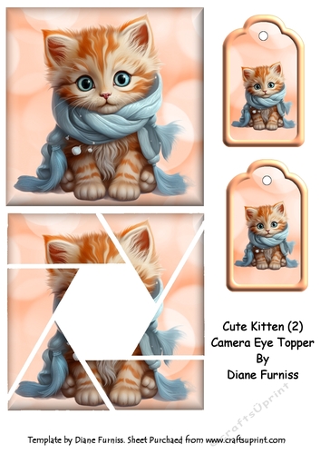 Cute Kitten (2) Camera Eye Topper - CUP1299103_174 | Craftsuprint