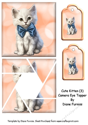 Cute Kitten (3) Camera Eye Topper - CUP1299104_174 | Craftsuprint