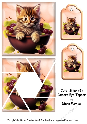 Cute Kitten (6) Camera Eye Topper - CUP1299107_174 | Craftsuprint