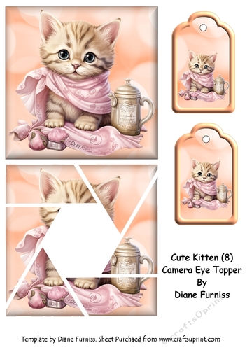 Cute Kitten (8) Camera Eye Topper - CUP1299109_174 | Craftsuprint