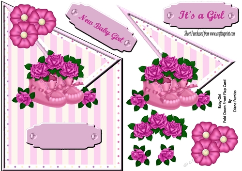 Baby Girl Fold Down Front Flap Card - CUP1307260_174 | Craftsuprint