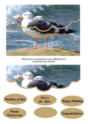 Seagull Envelope Card - CUP305568_874 | Craftsuprint