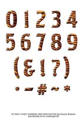 Go Wild - Tiger Numbers and Punctuation Alpha Sheet - CUP651076_2311 ...