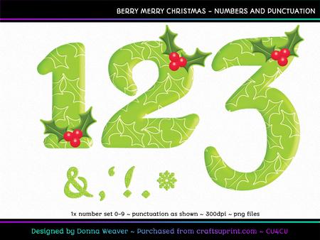Berry Merry Christmas Numbers and Punctuation - CUP651861_2311 ...