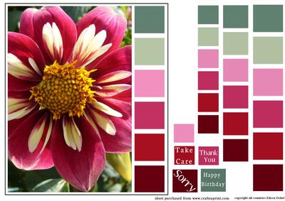 Color Swatch Flowers - CUP574453_993 | Craftsuprint