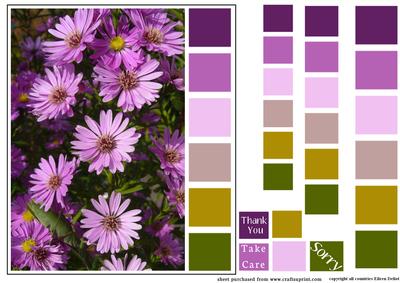 Color Swatch Autumn Flowers - CUP579602_993 | Craftsuprint