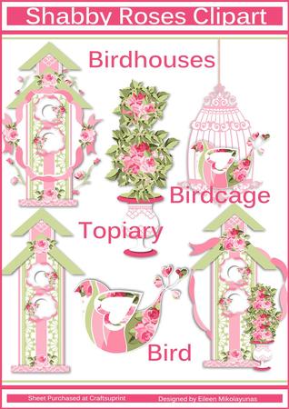Shabby Roses Bird Garden Png & Jpg Clipart Set - CUP423716_503 ...