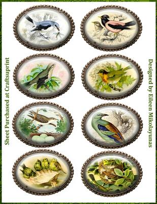 Botanical Bird Charms Embellishment Set - CUP549681_503 | Craftsuprint