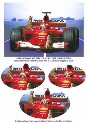Meerkats Go Grand Prix F1 Racing - Oval Pyramid Card - CUP115950_604 ...