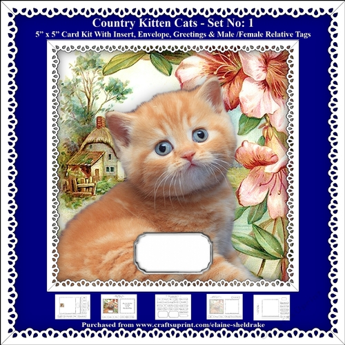 Printable Country Kitten Cat Card Kit - Set No: 1 - CUP1161084_604 ...