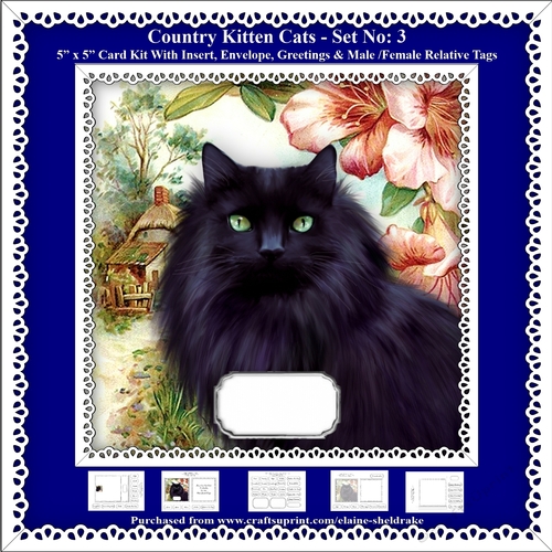 Printable Country Kitten Cat Card Kit - Set No: 3 - CUP1161251_604 ...
