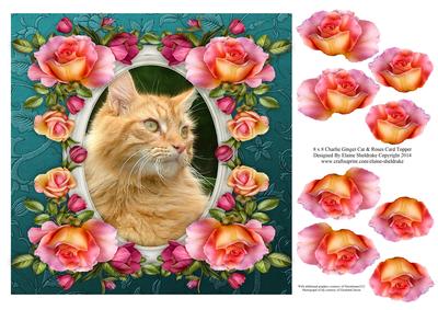 8 x 8 Charlie Ginger Cat & Roses Card Topper & Decoupage - CUP562975 ...