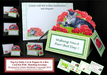 Tabby Cat & Poppies - 3D Pop-up Box Card Kit & Envelope - CUP581955_604 ...