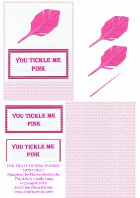 You Tickle Me Pink Feather Quick Card Female Friend - CUP60159_604 ...