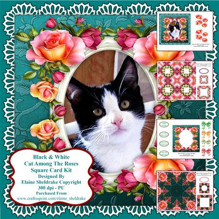 Black & White Kitten Cat Among the Roses - Card Kit - CUP667953_604 ...