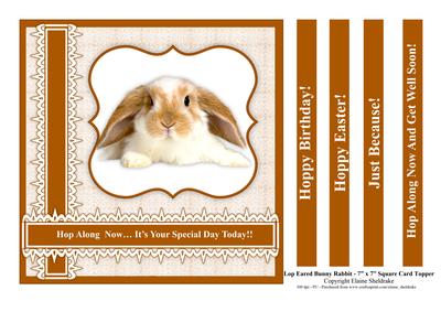 Lop Eared Bunny Rabbit 7" x 7" Card Topper with 5 Greetings - CUP675325 ...