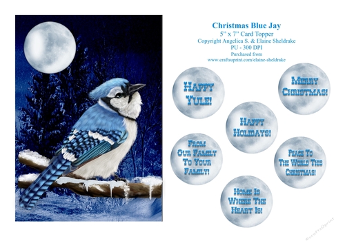 Christmas Blue Jay - 5 x 7 Card Topper With Assorted Greetings ...